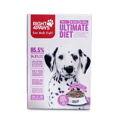 Right4Paws • Right4Paws